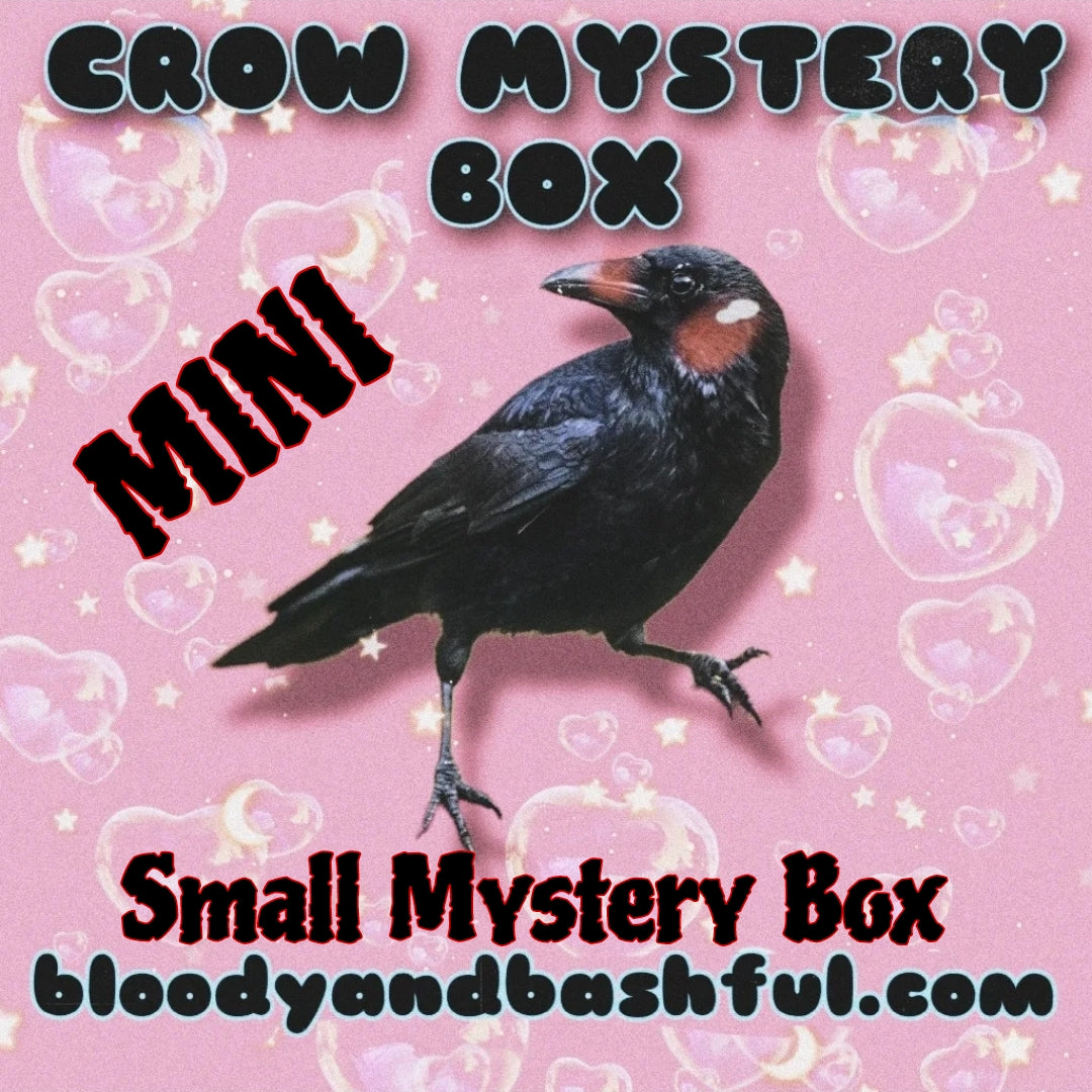 SMALL CROW MYSTERY BOX – Bloody & Bashful