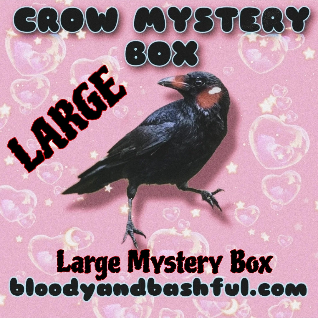 LARGE CROW MYSTERY BOX – Bloody & Bashful