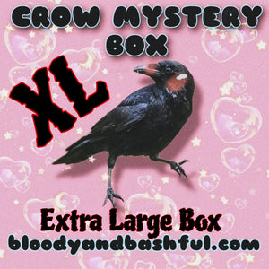EXTRA LARGE CROW MYSTERY BOX – Bloody & Bashful
